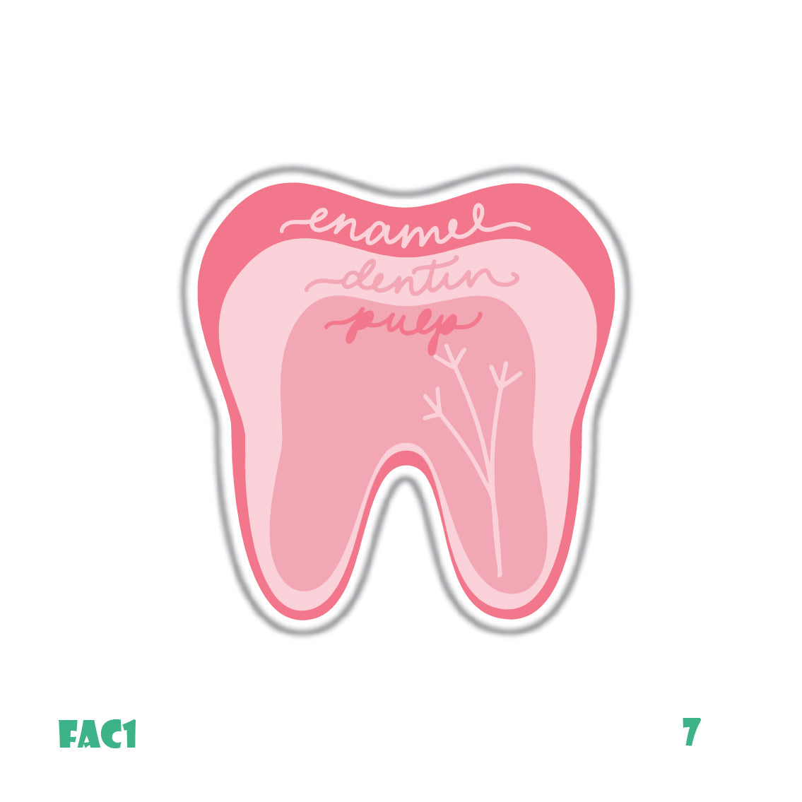 DENTISTRY: SINGLE STICKERS