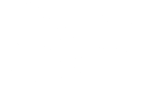 Introduction to Stickers: A Comprehensive Guide