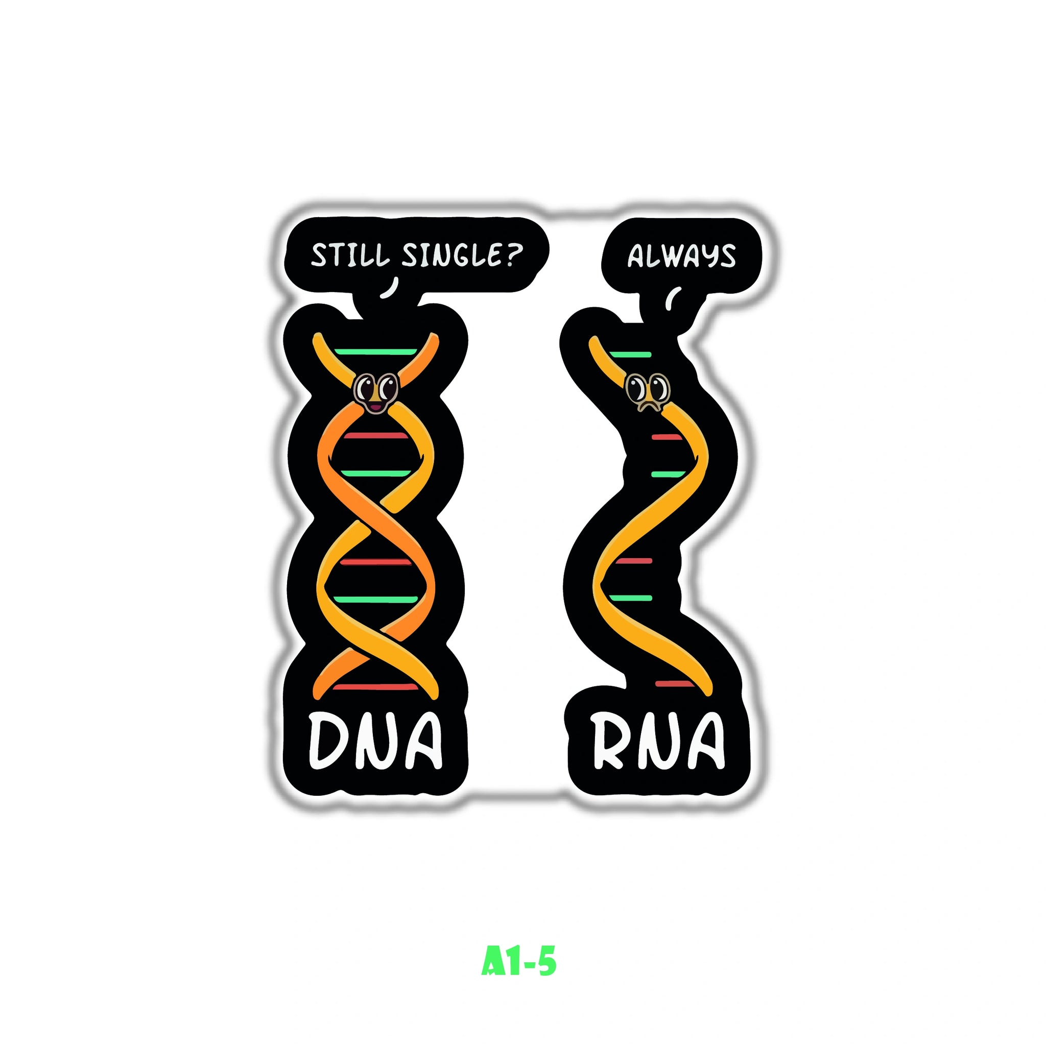 DNA Vs RNA